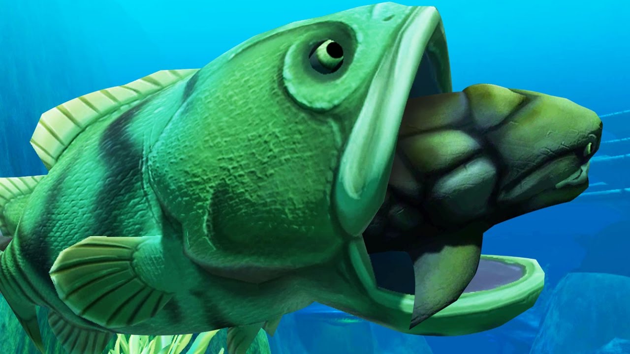 Feed And Grow Fish Guide For Beginners SteamAH Feed And Grow Fish Guide For Beginners SteamAH