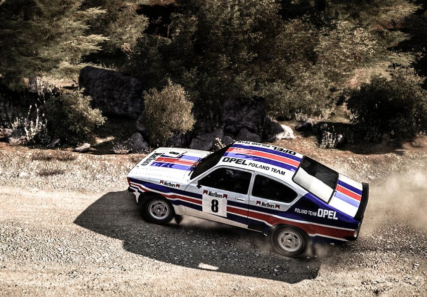 DiRT Rally: Best Skins and Liveries Guide - SteamAH