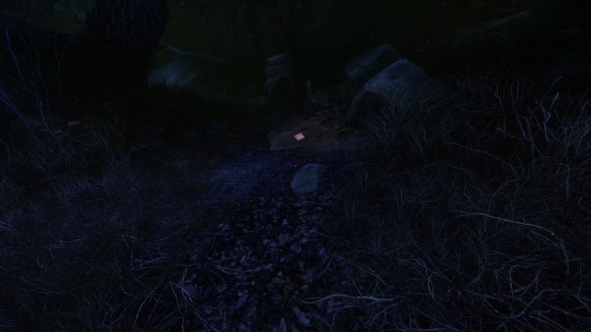 The Cursed Forest: Note Locations Guide - SteamAH