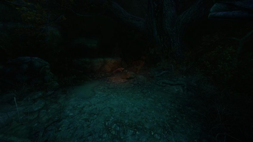 The Cursed Forest: Note Locations Guide - SteamAH