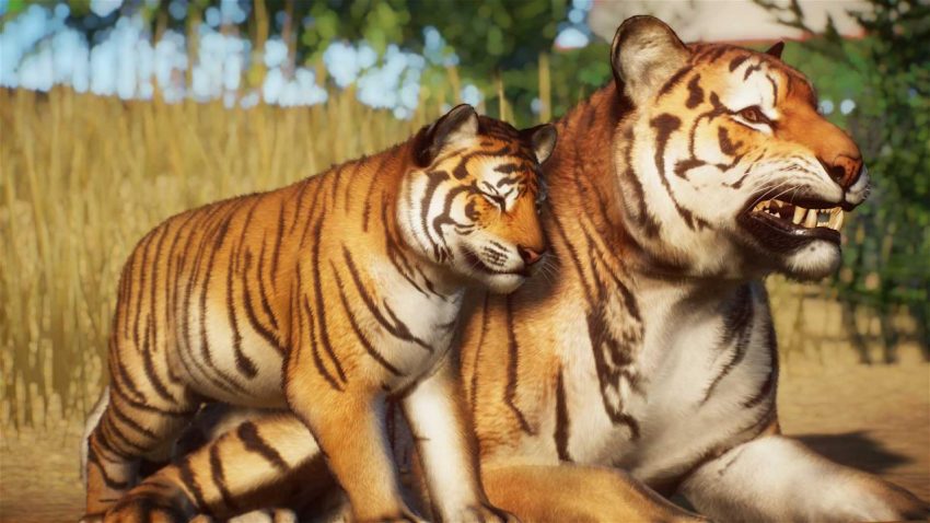 Planet Zoo: Beginner's Guide to Franchise Mode - SteamAH