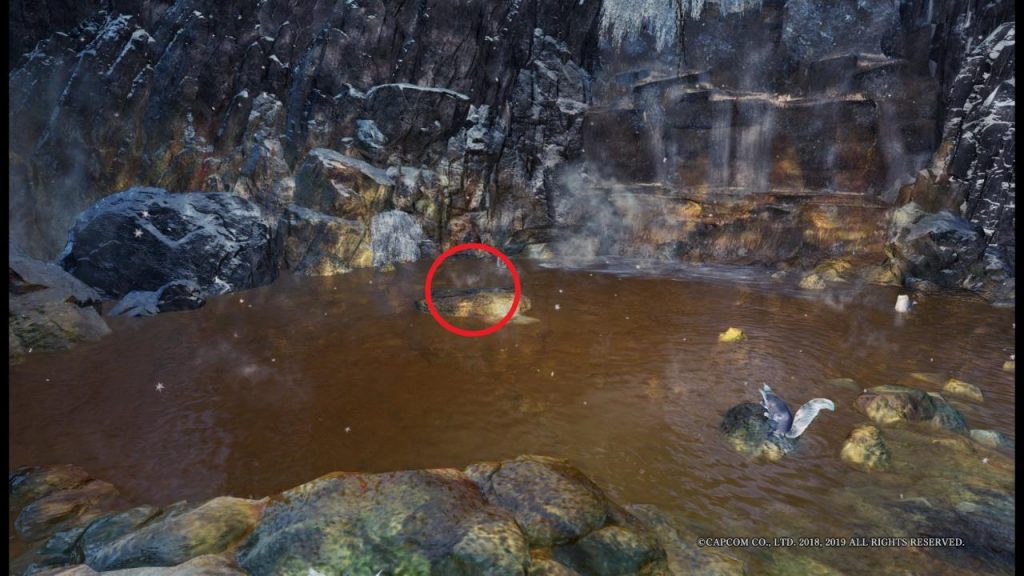 MONSTER HUNTER: WORLD - How to Catch All Rare Endemic Life - SteamAH