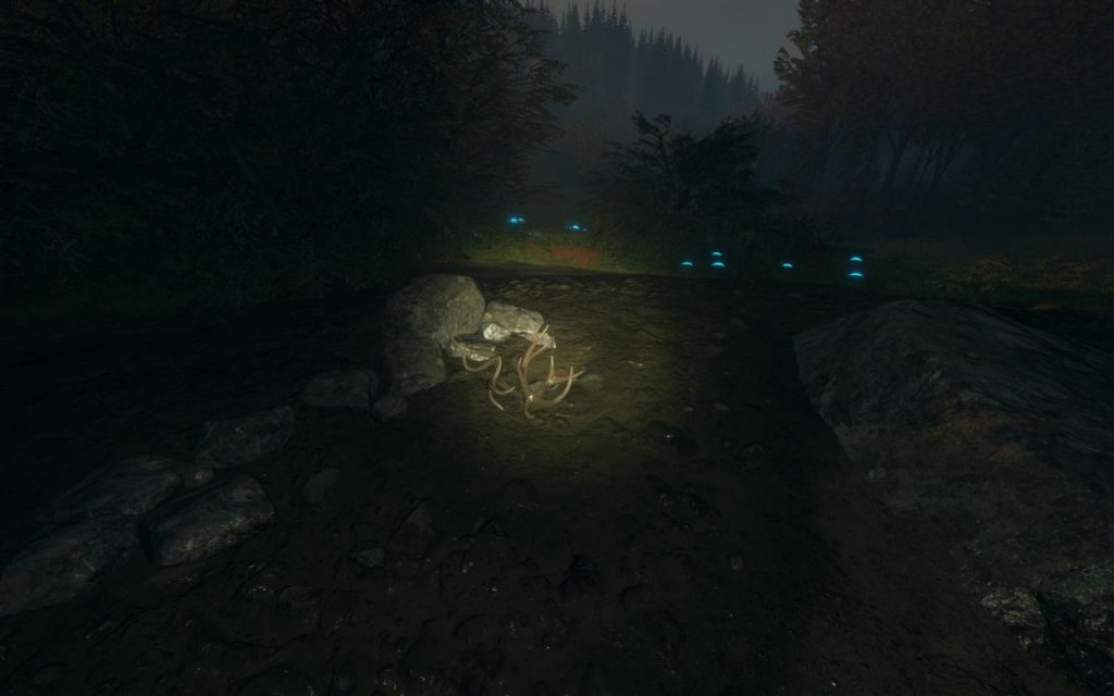 theHunter: Call of the Wild All Hirschfelden Artifacts and Sheds ...