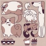 Dogs Organized Neatly All Level Solution and Achievements Guide - SteamAH