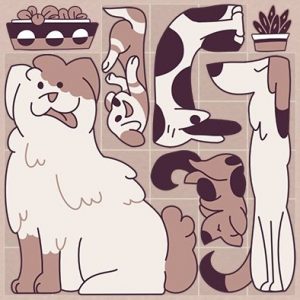 Dogs Organized Neatly All Level Solution and Achievements Guide - SteamAH