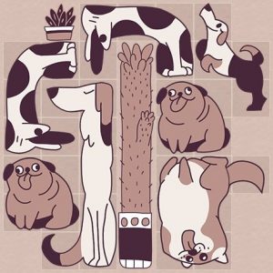 Dogs Organized Neatly All Level Solution and Achievements Guide - SteamAH