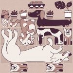 Dogs Organized Neatly All Level Solution and Achievements Guide - SteamAH