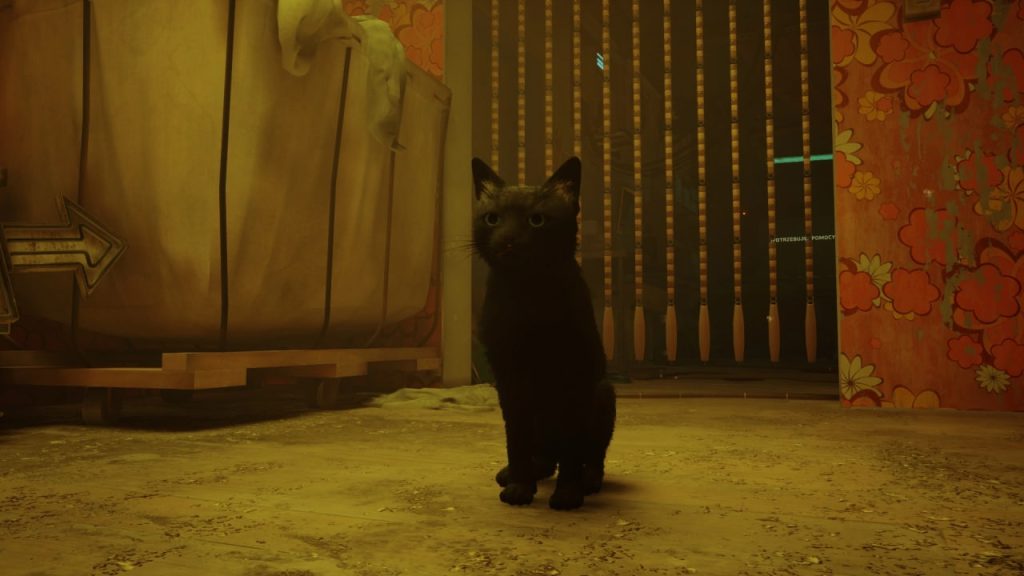Stray How to Change Skin of the Cat - SteamAH