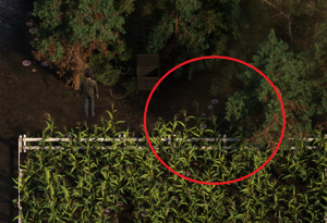 The Genesis Order: Chest, Chest Key & Extra (V47102) - SteamAH