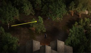 The Genesis Order: All Secrets Guide (V0.59) - SteamAH
