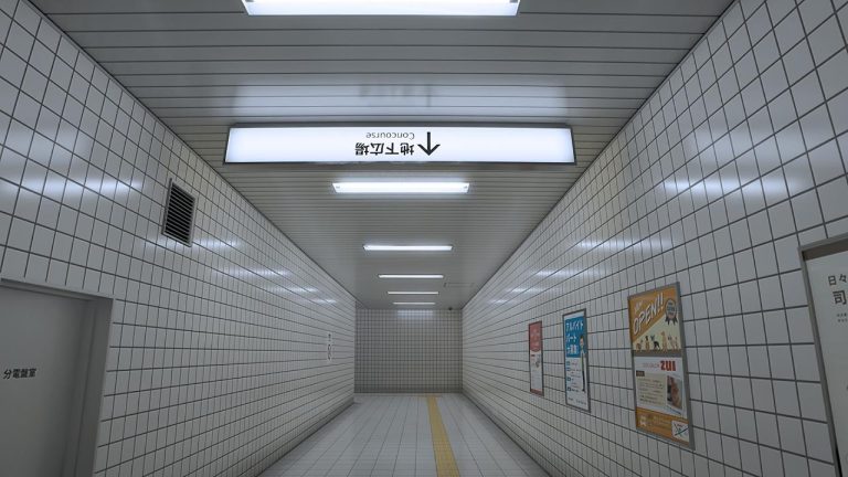 The Exit 8 - Complete List of All Anormalies - SteamAH