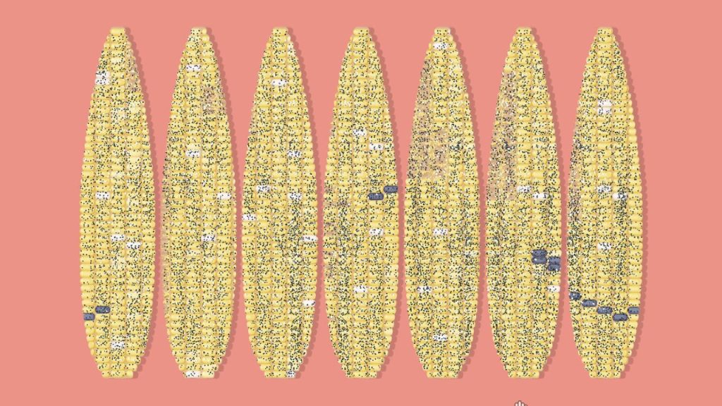 A Little to the Left: All Seeing Stars Levels Guide (Bouns Levels ...