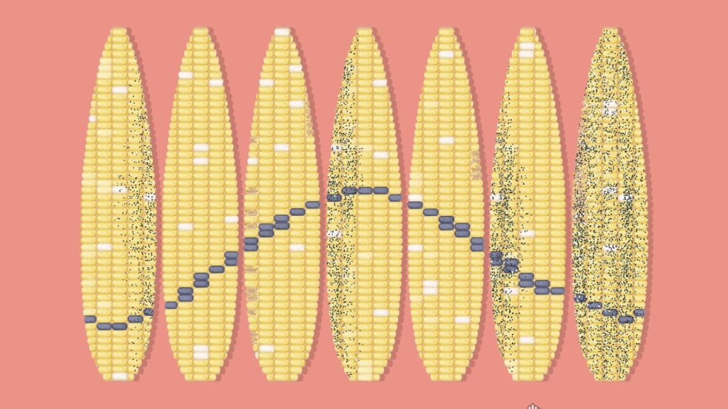 A Little to the Left: All Seeing Stars Levels Guide (Bouns Levels ...