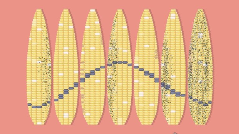 A Little to the Left: All Seeing Stars Levels Guide (Bouns Levels ...