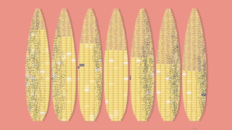 A Little to the Left: All Seeing Stars Levels Guide (Bouns Levels ...