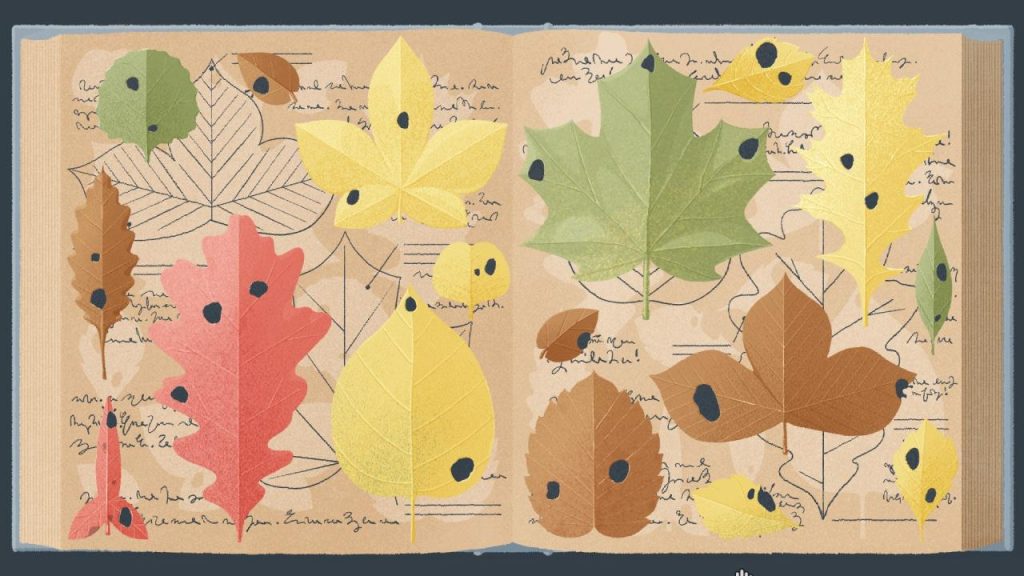 A Little to the Left: All Seeing Stars Levels Guide (Bouns Levels ...