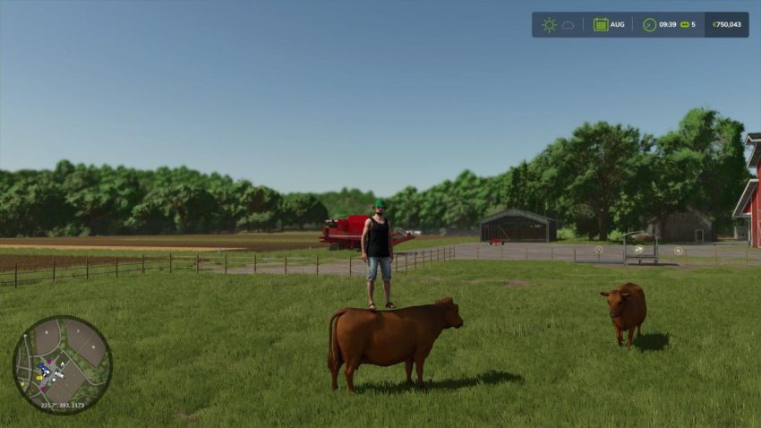 Farming Simulator 25: How to Enable the Console - SteamAH